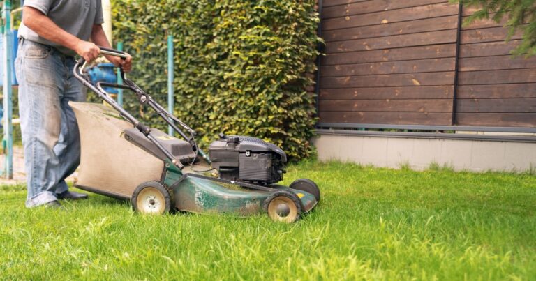 Green Your Lawn With All Natural Lawn Care Service Dallas