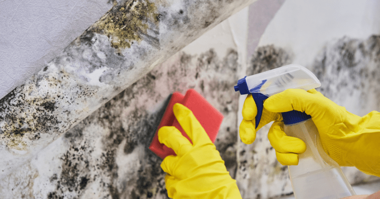 From Clutter To Clean: The Ultimate Guide For Professional Basement ...