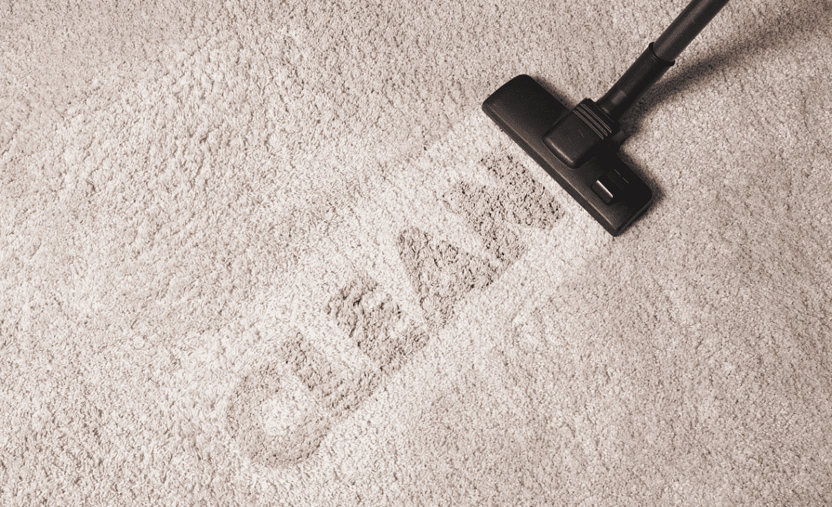 From Dust To Glory: A Comprehensive Guide To 2023 Carpet Cleaning Prices