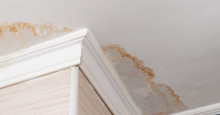How To Repair Wet Drywall: Expert Tips 2023