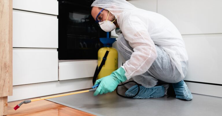 Bed Bug Pest Control Dallas: A Comprehensive Guide To Effective Pest ...