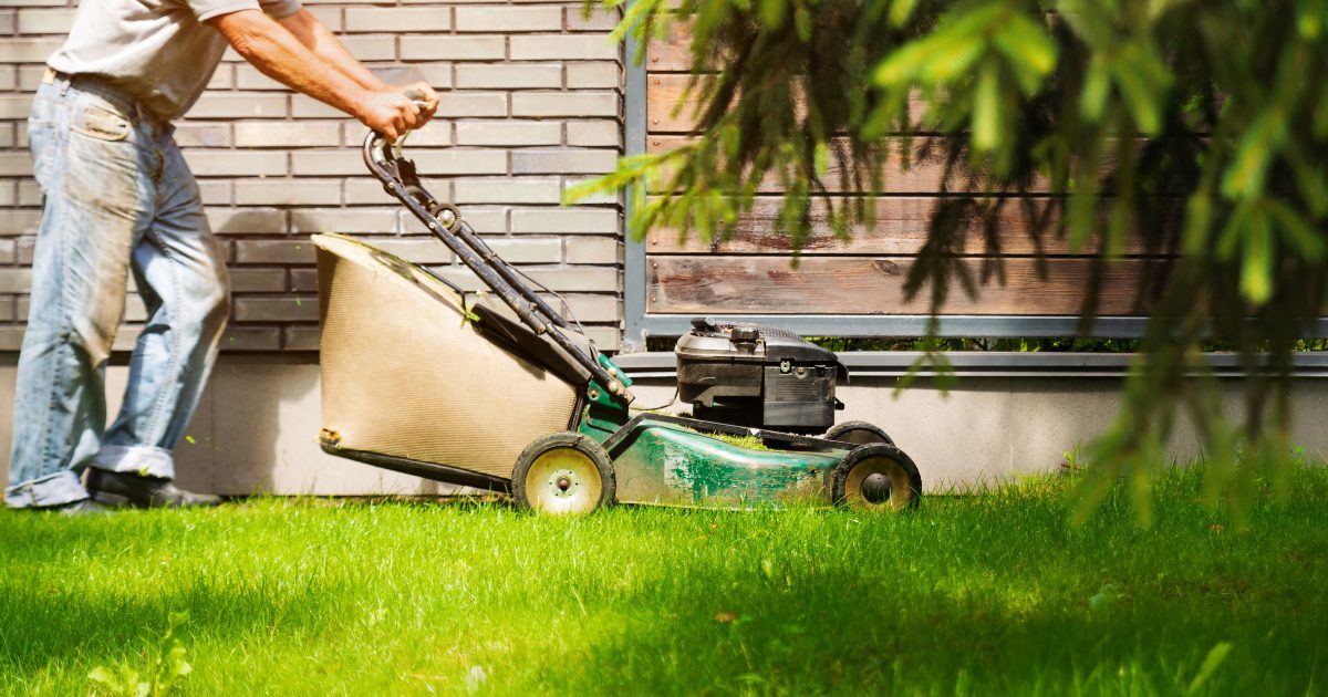 The Green Revolution: Unveiling The Secrets Of Property Preservation ...