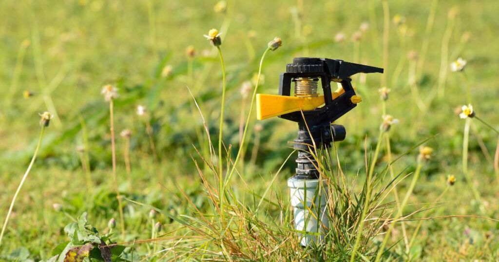 How To Find A Sprinkler Head: Uncovering The Hidden