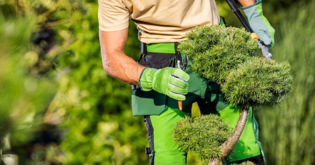 How To Determine Landscaper Quality: Choosing A High-Quality Contractor