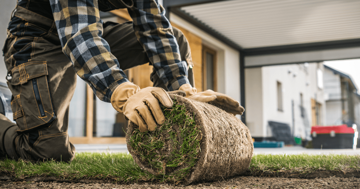 The Benefits Of Hiring A Professional Landscaper Dallas TX In ...