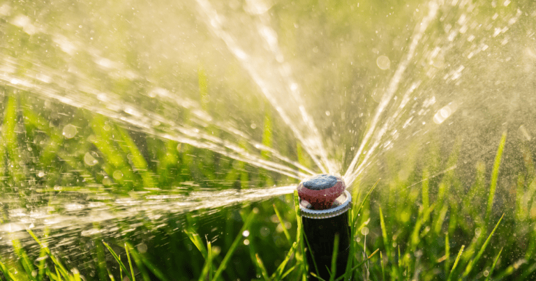 Different Sprinkler Head Types: A Comprehensive Guide to Selecting the ...