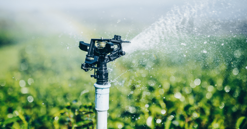 Sprinkler Repair 101: A Comprehensive Guide To Maintaining Your ...